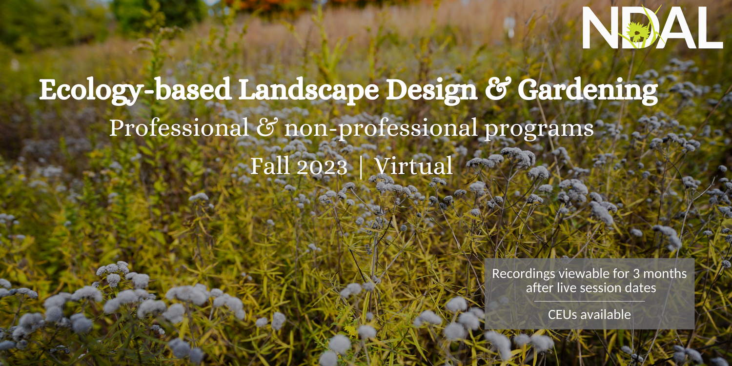 Fall 2023 Virtual Programs — NDAL: New Directions in the American Landscape