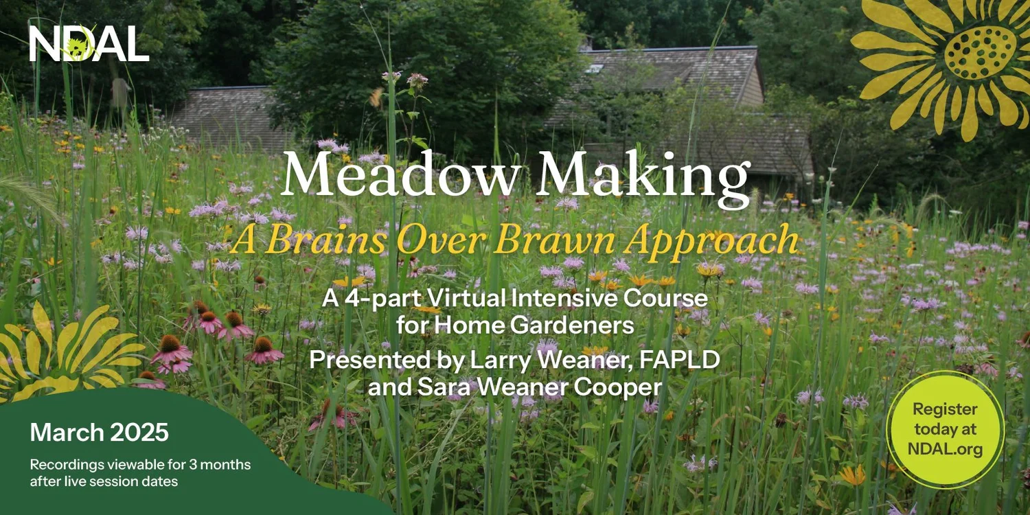 Meadow Making Home Gardener Intensive March 2025 — NDAL: New Directions ...