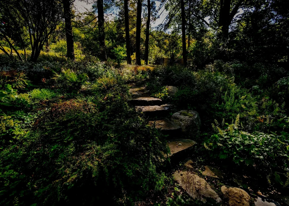 NDAL: New Directions in the American Landscape