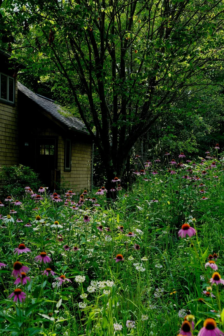 NDAL: New Directions in the American Landscape