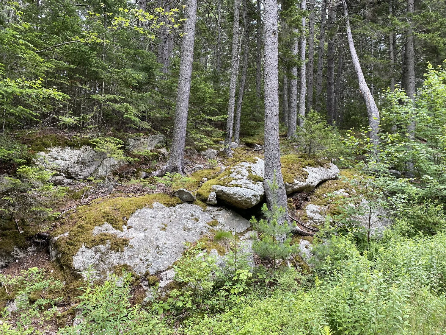 ClearPath Renewables | Geothermal Renewable Energy Credits (GRECs)