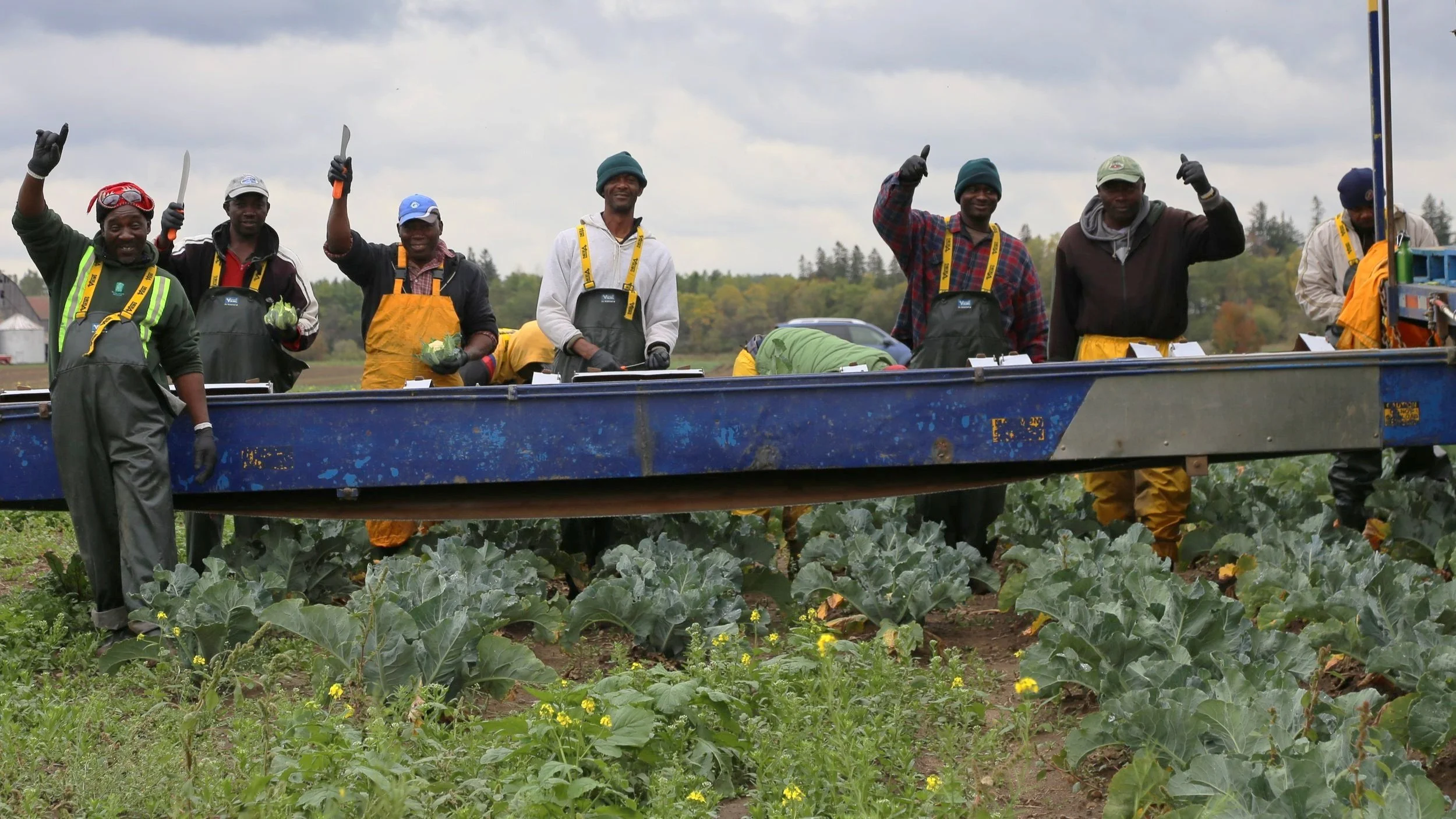 Families of Migrant Agricultural Workers to Get Work Visas🙌💚🌿 — Karma Co-op