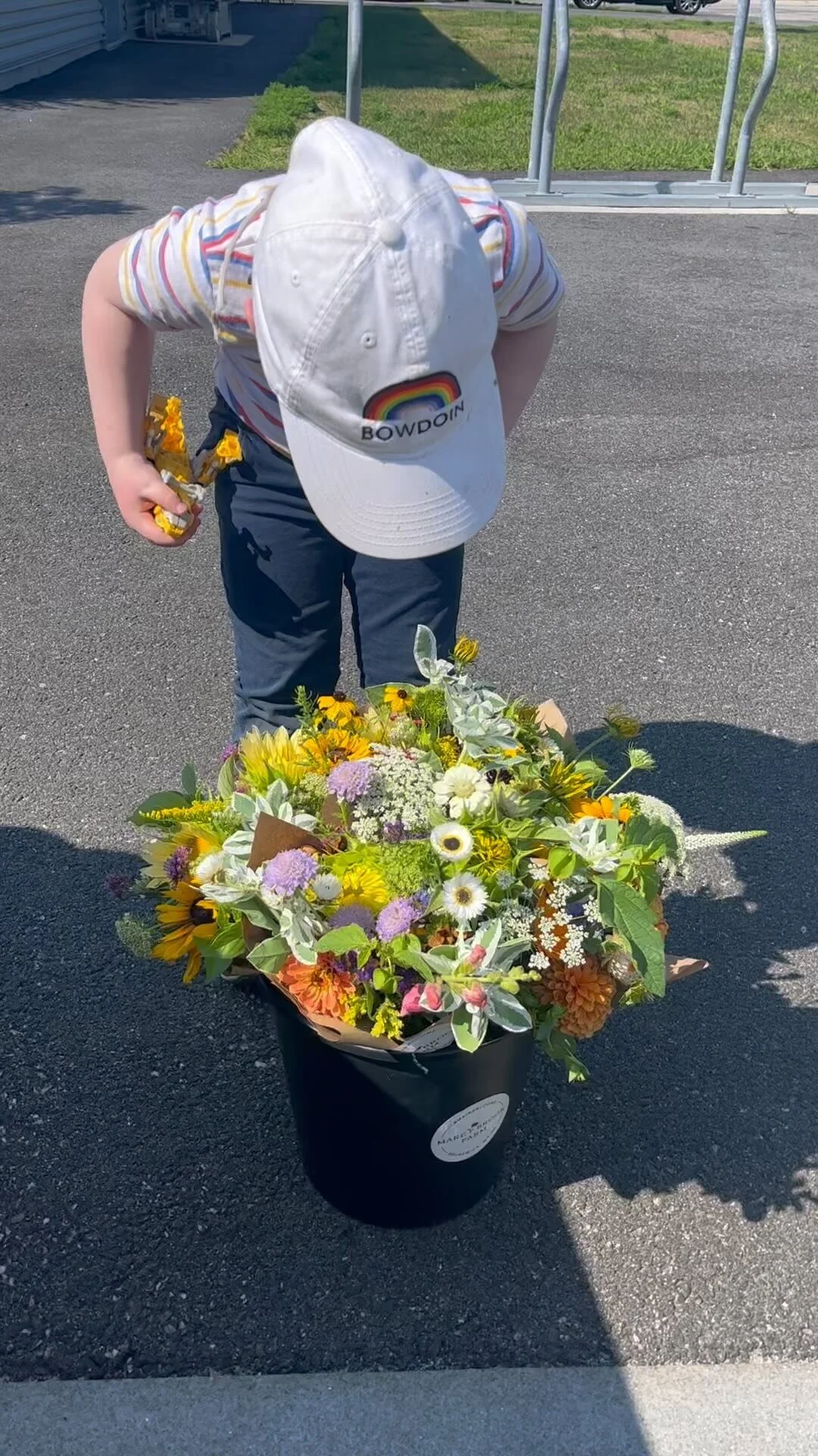 Lupine planting instructions — Mare Brook Farm