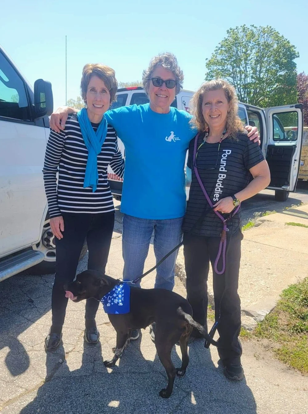 Our Journey — Pound Buddies