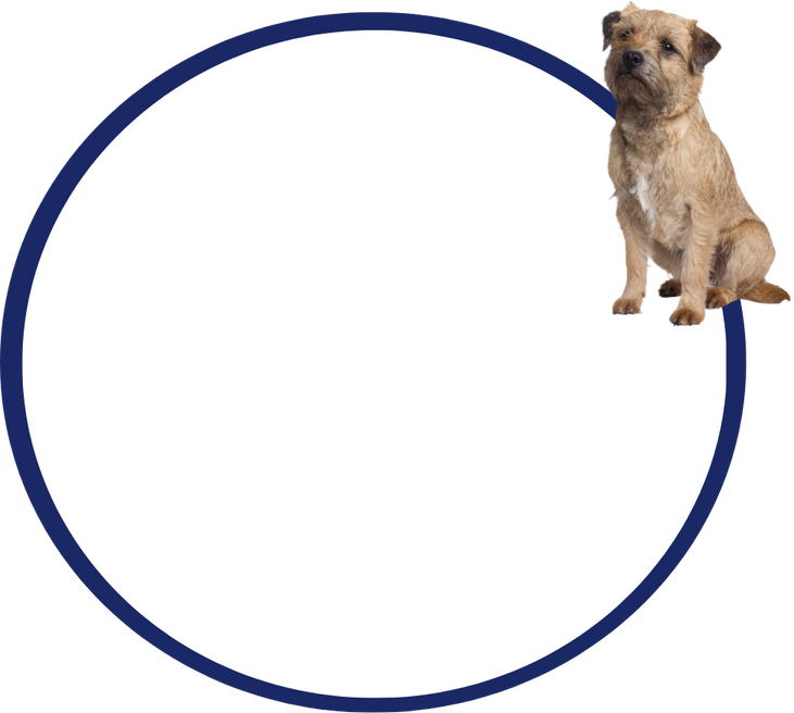 Raising the Woof! — Pound Buddies