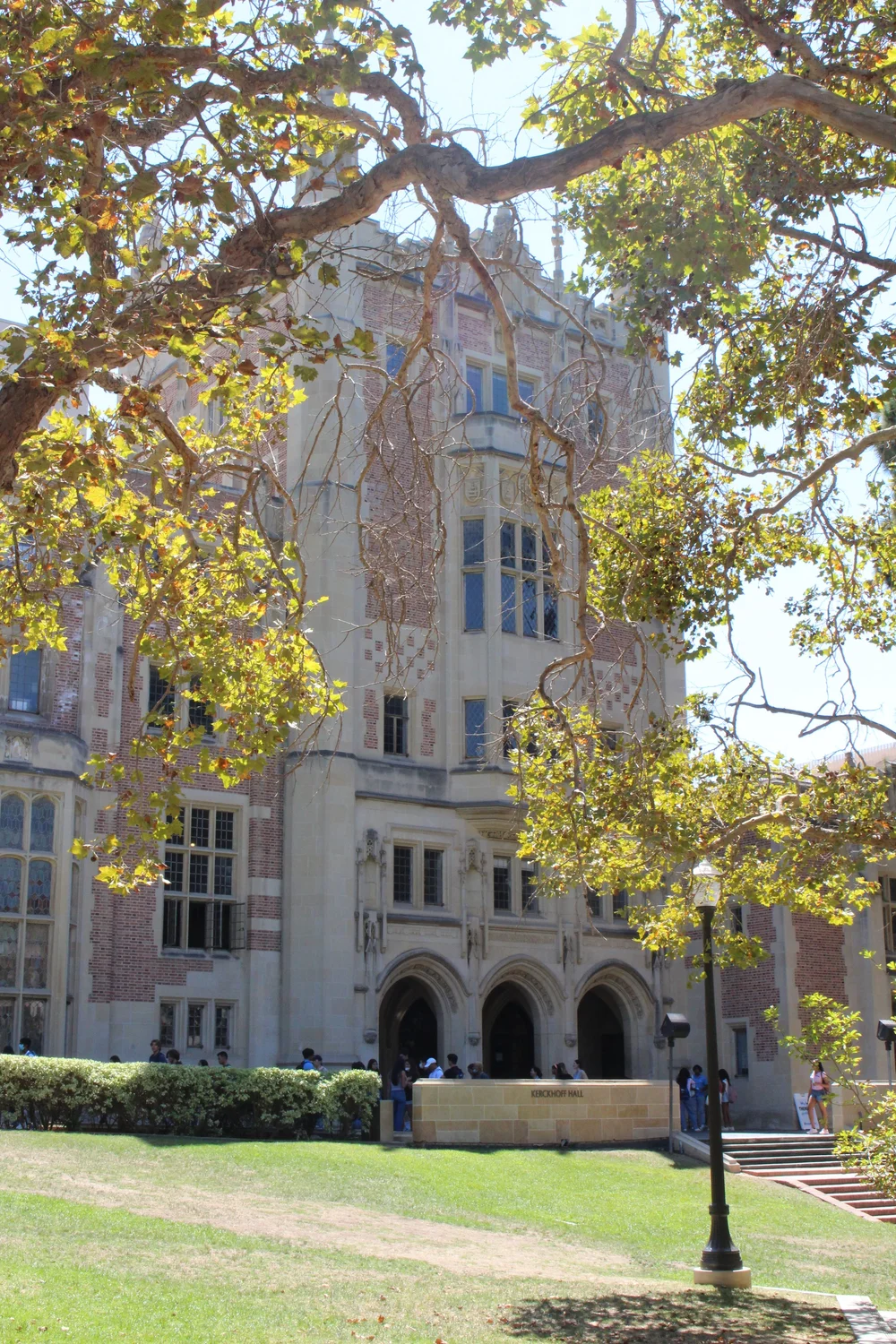 Acceptance rate UCLA — ASUCLA