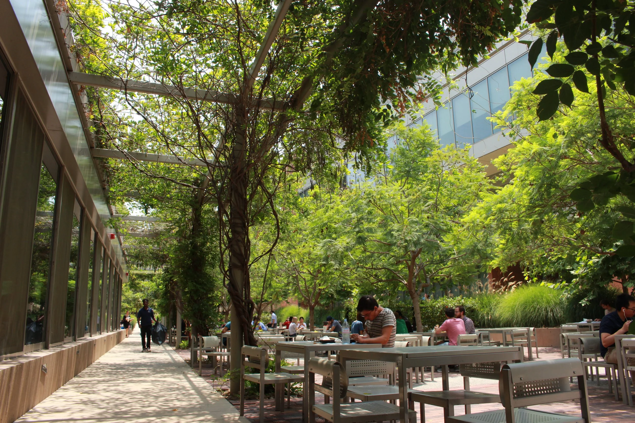 UCLA meal swipes — ASUCLA