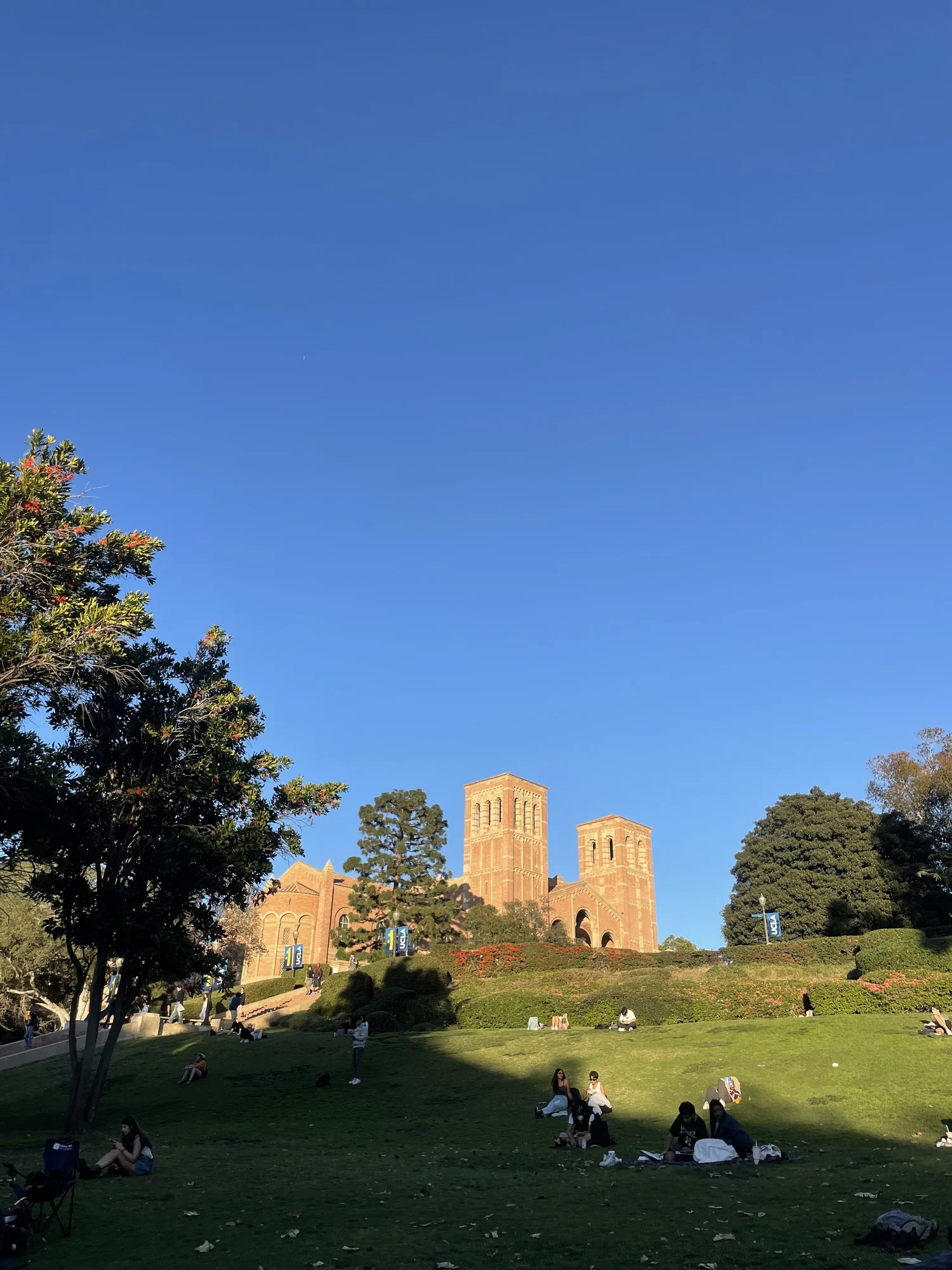 Zoom UCLA — ASUCLA