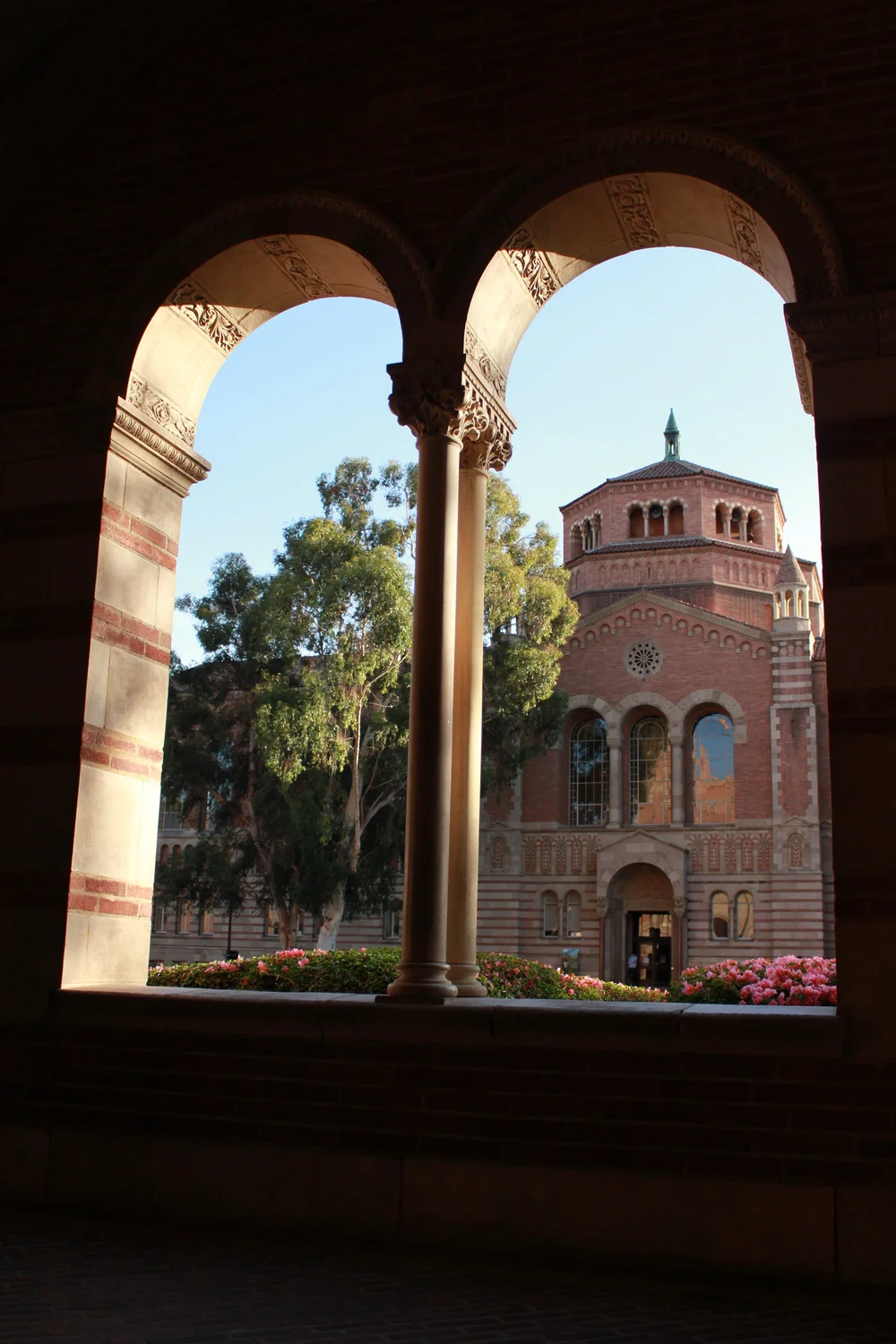 Famous UCLA professors — ASUCLA