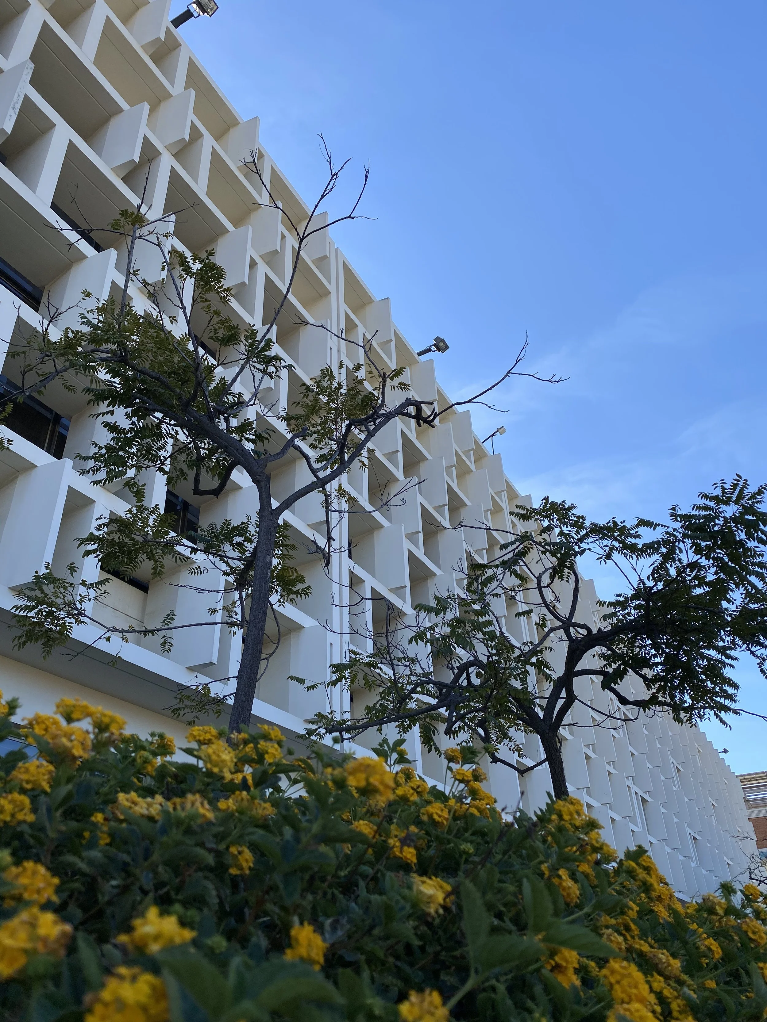 UCLA study room reservation — ASUCLA