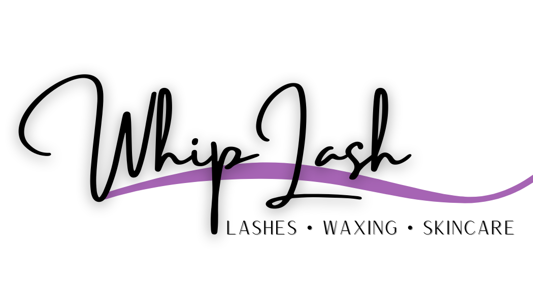 Whip Lash | Discover Expert Beauty Services Today