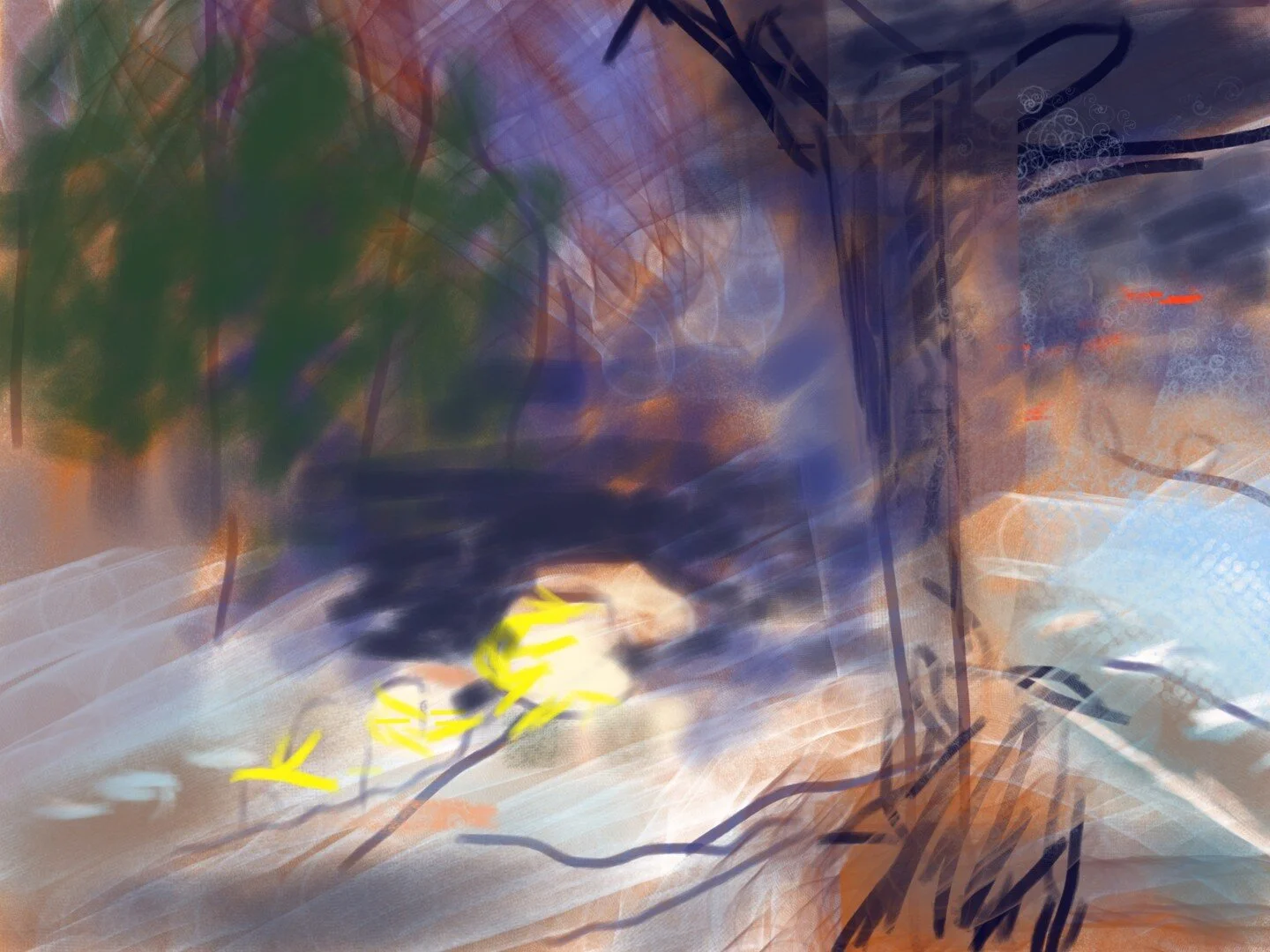 Susan D. Durfee — Artist — Jackson Hole, Wyoming