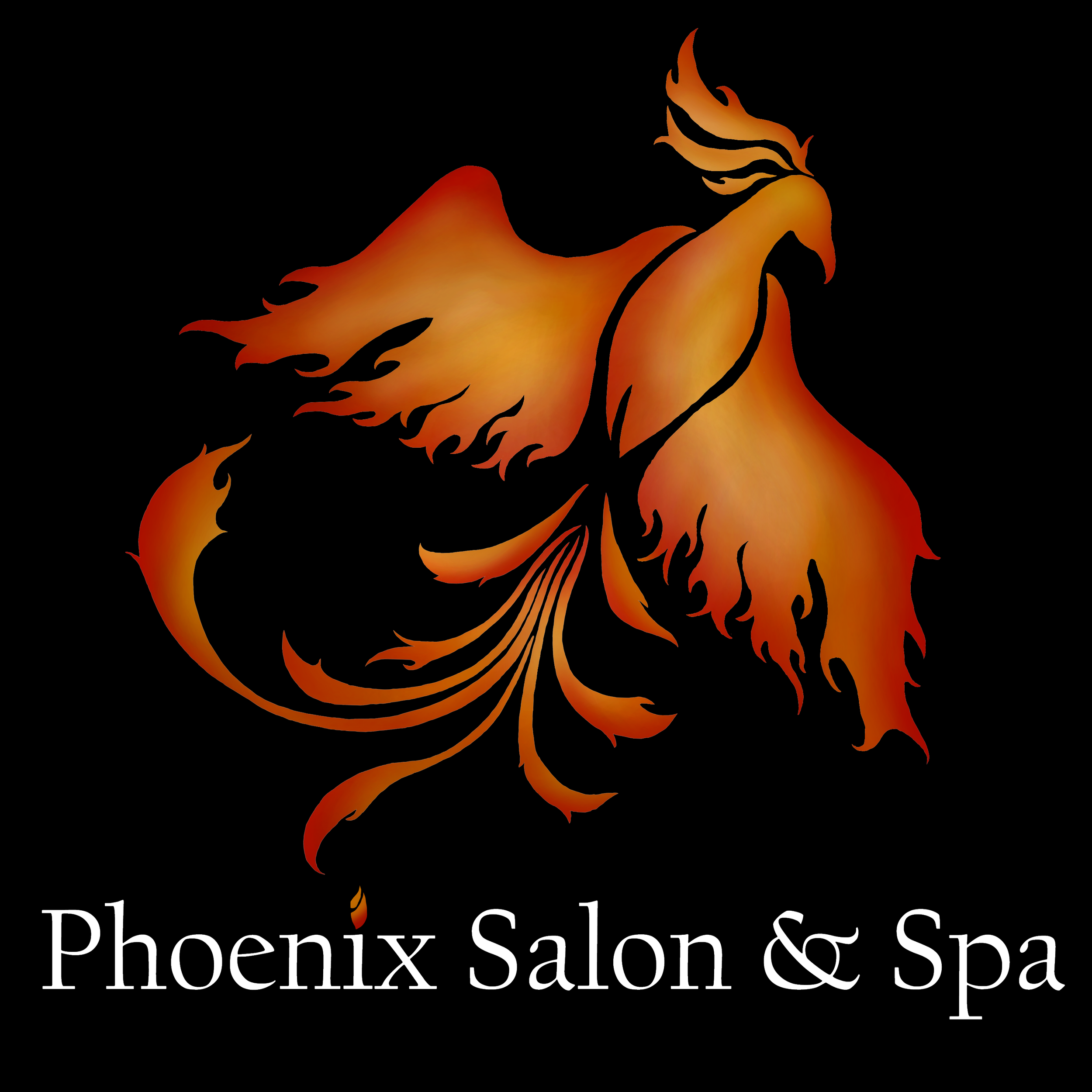 Our Instructors — Phoenix Salon and Spa