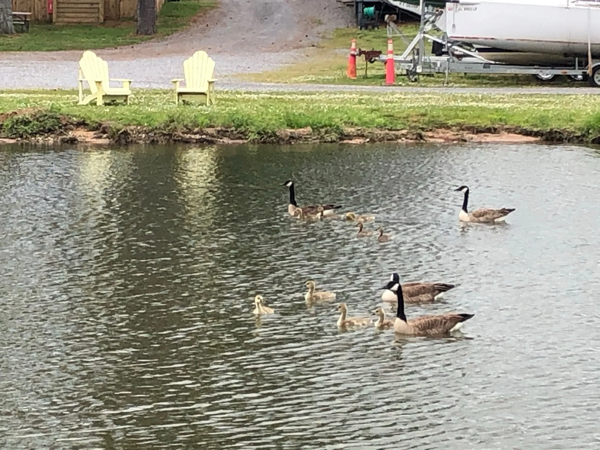 OUR MARINA — North Alabama Sailing Marina