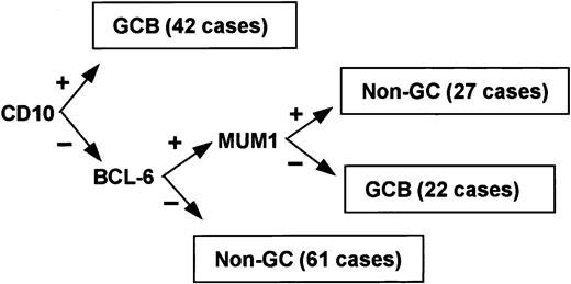 Episode 072: Introduction to Diffuse Large B-Cell Lymphoma (DLBCL ...