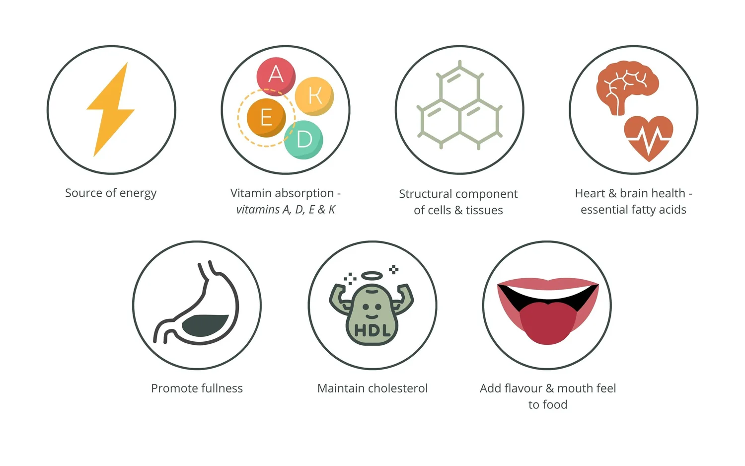 Fats 101 | Back to Basics — tiphandnutrition