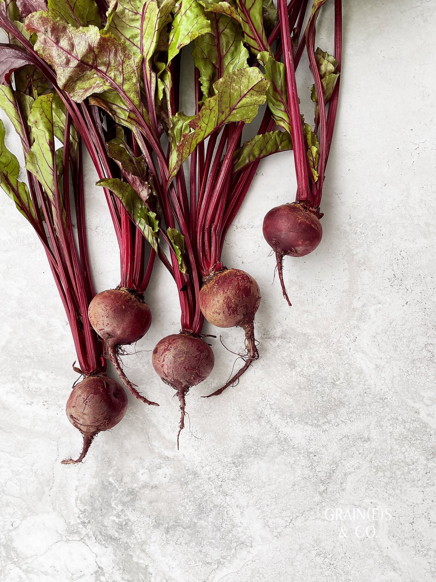 Food Feature | Beetroot — tiphandnutrition