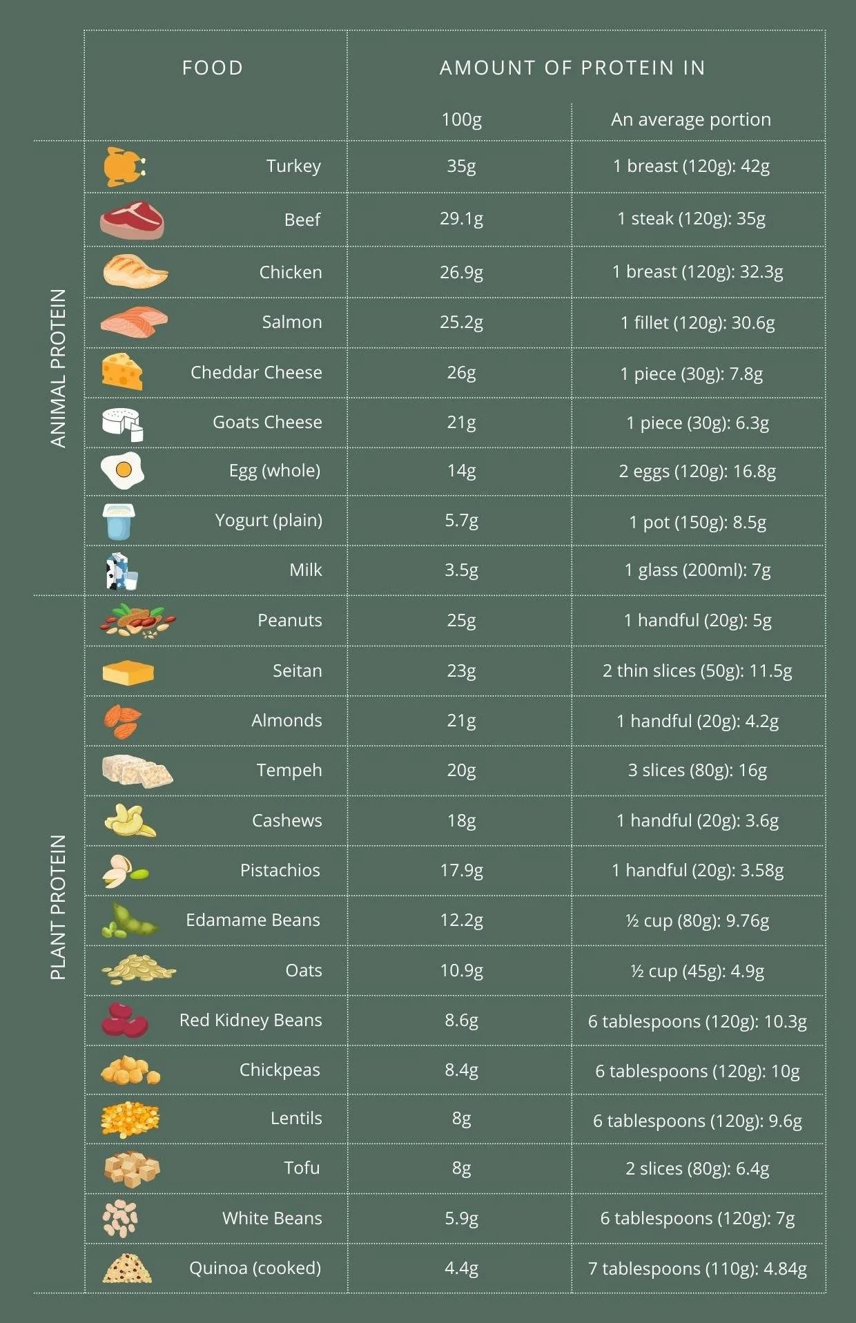 Protein 101 | Back to Basics — tiphandnutrition