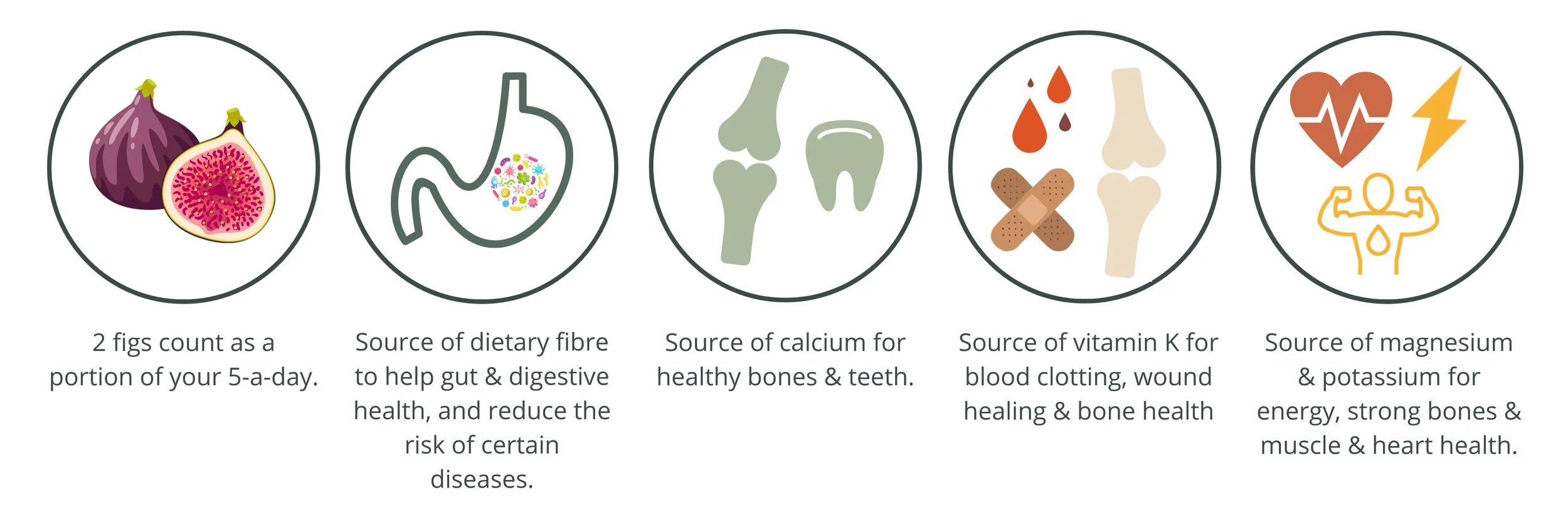 Food Feature | Figs — tiphandnutrition