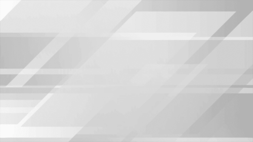 Centurion Security Services, Inc. Website