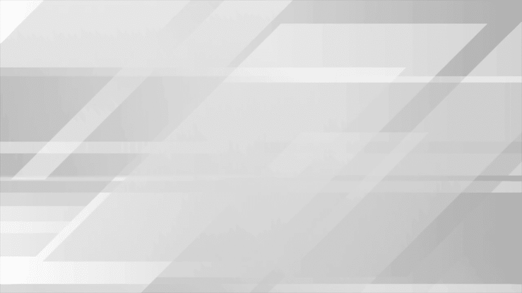 Centurion Security Services, Inc. Website