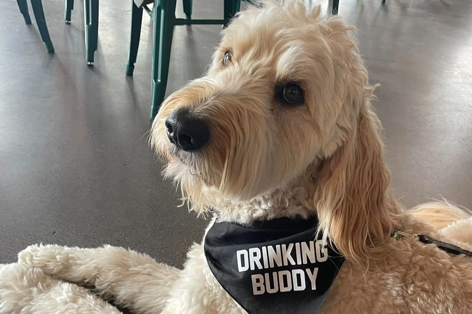 Visit Heavy Rotation — Heavy Rotation Brewing Co.