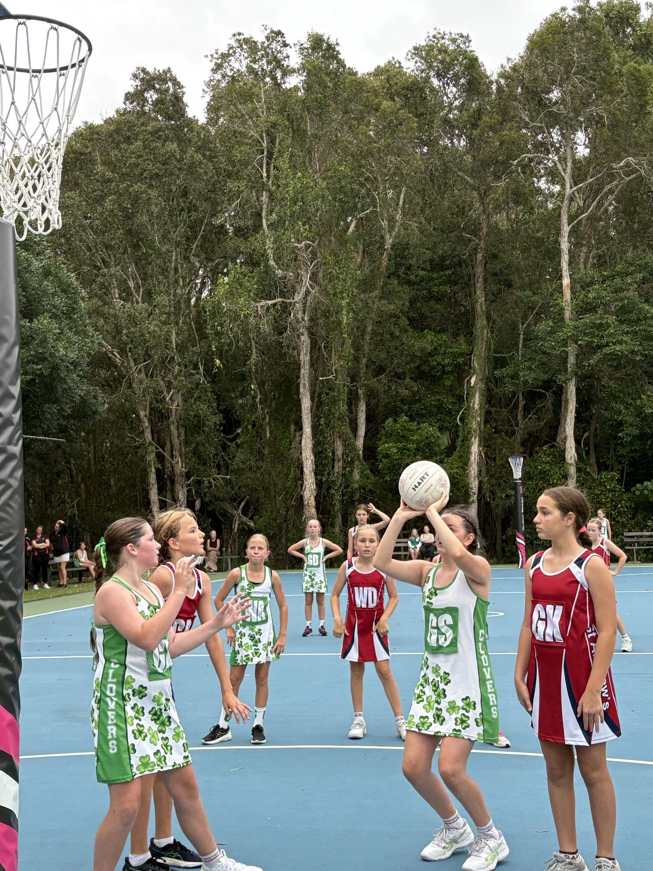 Information and Fees — Coolum District Netball Association