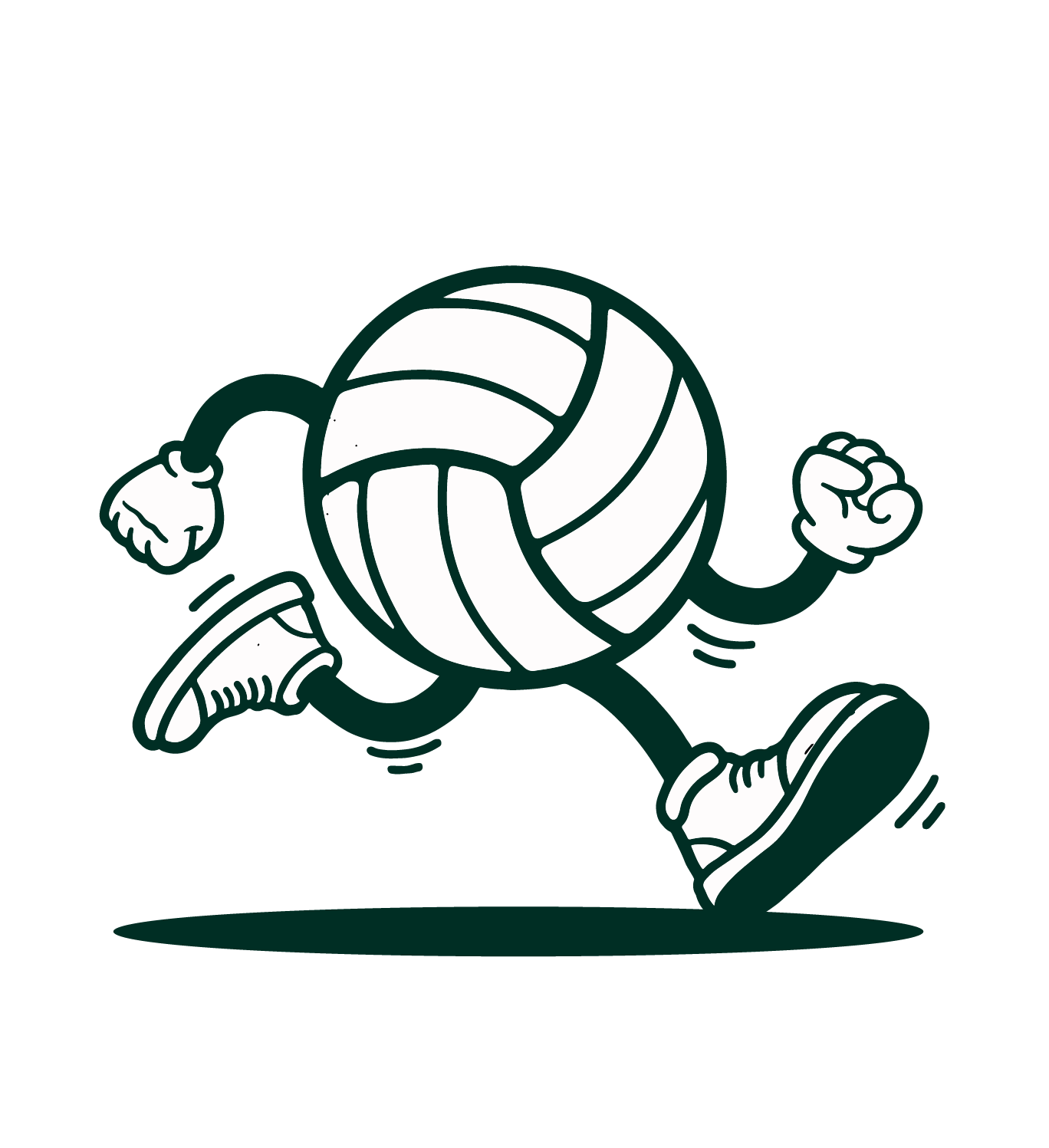 NetSetGo - Sunshine Coast — Coolum District Netball Association