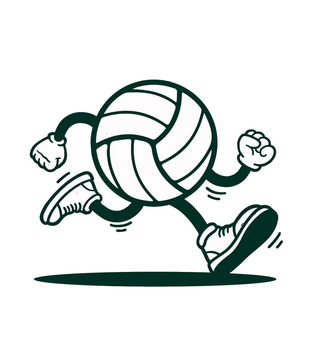 NetSetGo - Sunshine Coast — Coolum District Netball Association