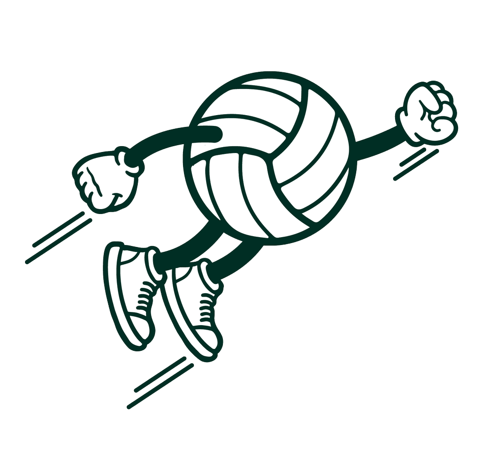 NetSetGo - Sunshine Coast — Coolum District Netball Association