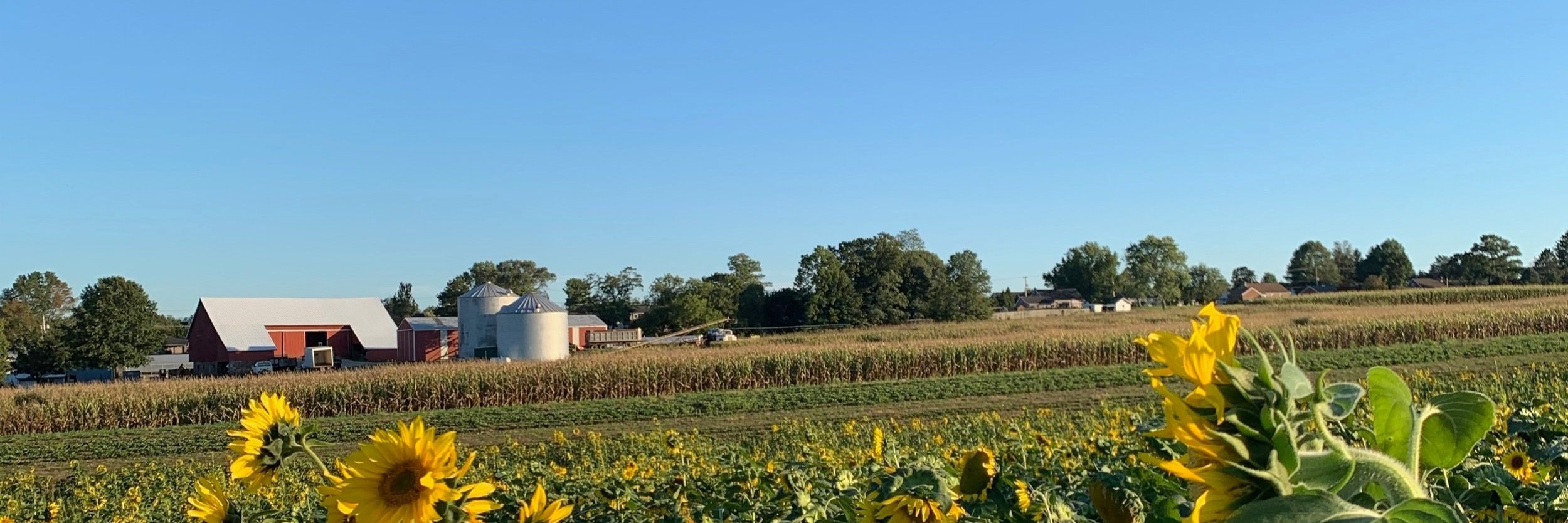 Whitecomb's Farm Market