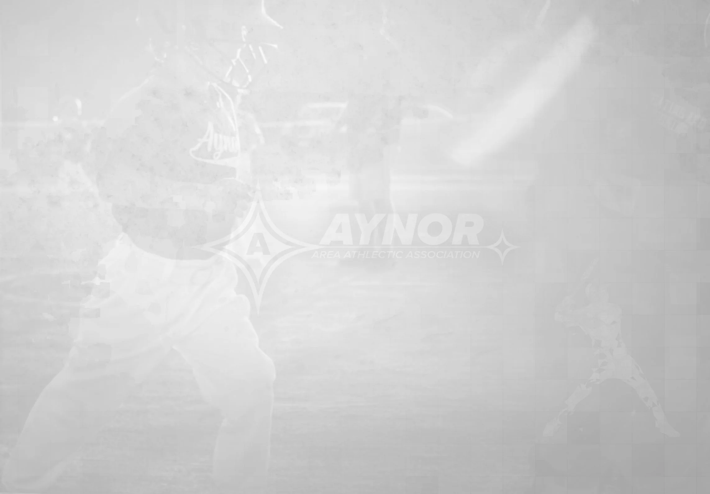Baseball — Aynor Area Athletic Association