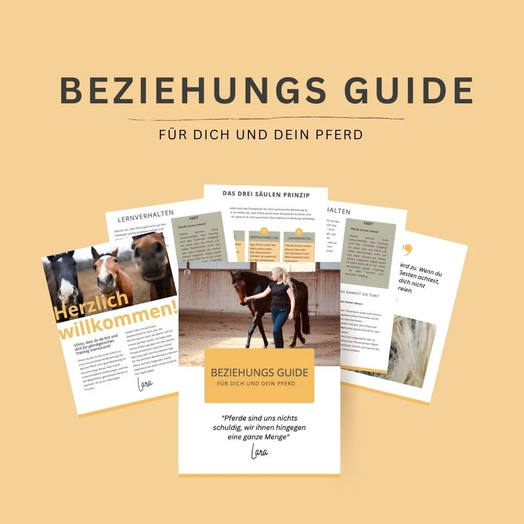 Danke — Pferdetraining Online