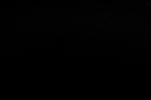 Official Merch Store — Bloom