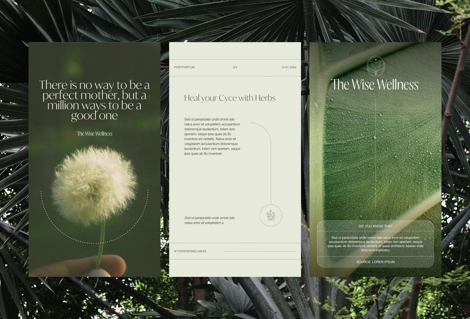 THE WISE WELLNESS — LEAVELI