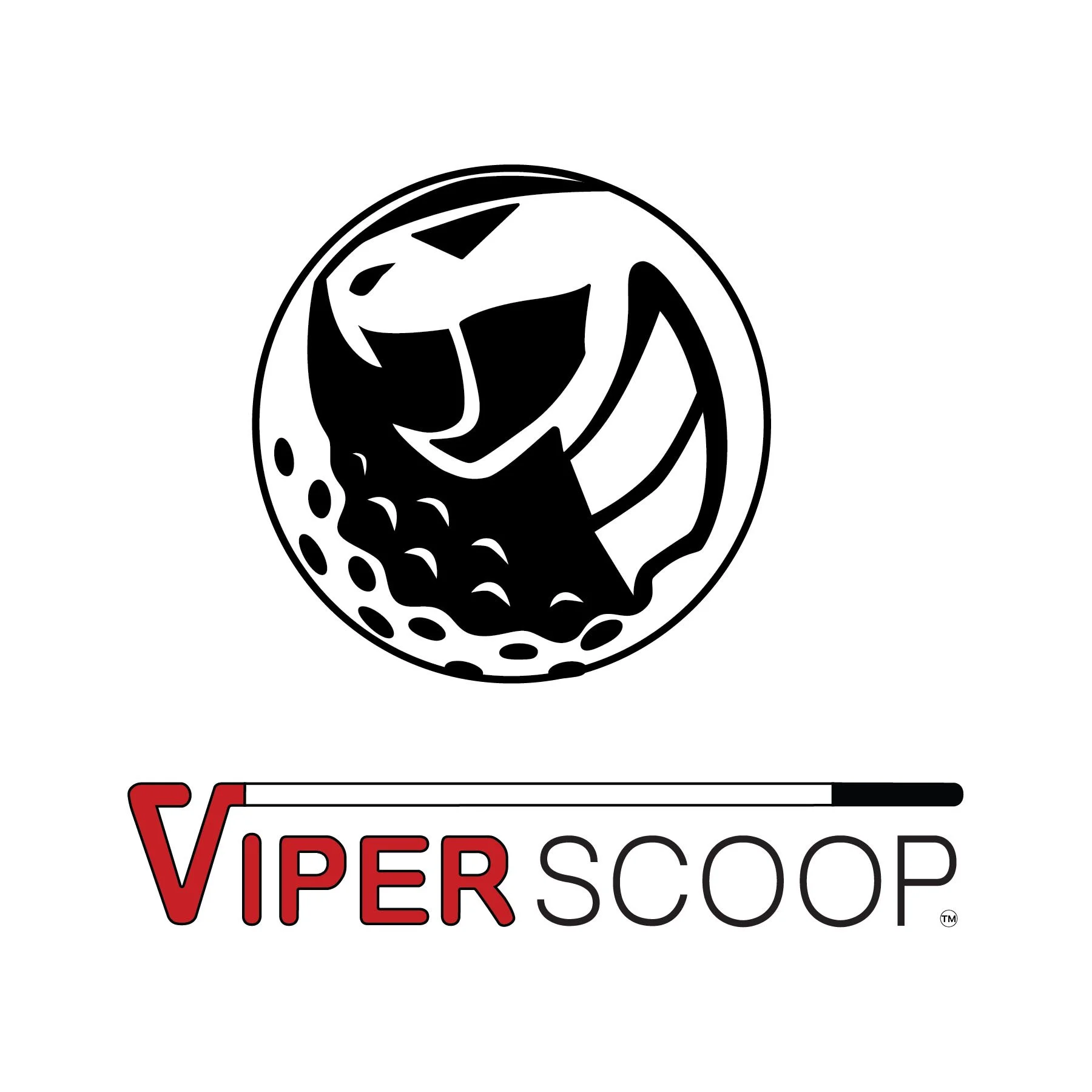 Viper Security Logo