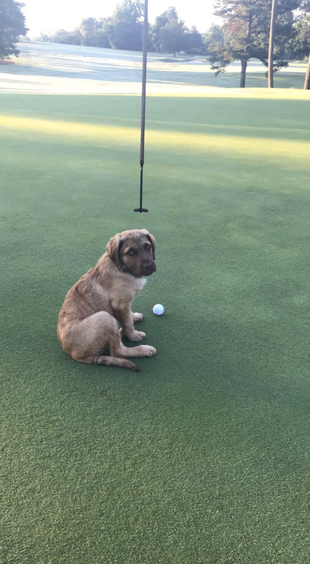 Golf — Lakeside Park Club