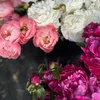 Peony Season: Celebrating Indiana’s State Flower — Pine & Posey