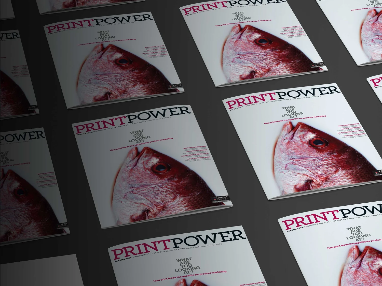 + Brochures — Windles Group