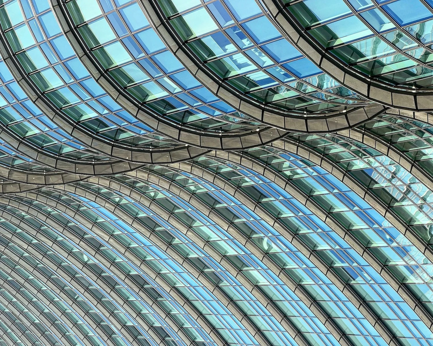 First Amendment Lawyers Association