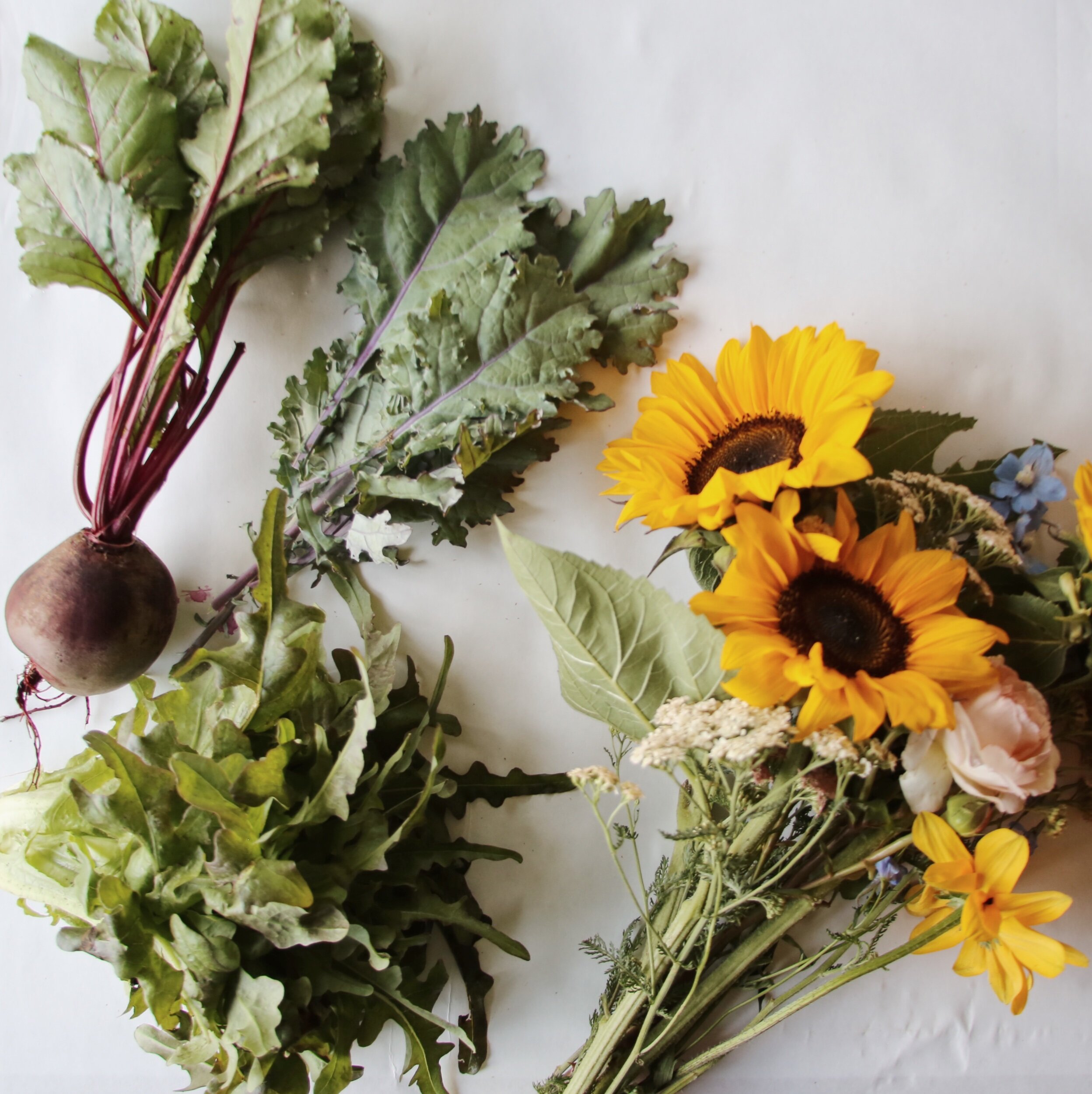 Daily Farm - Flowers and Produce