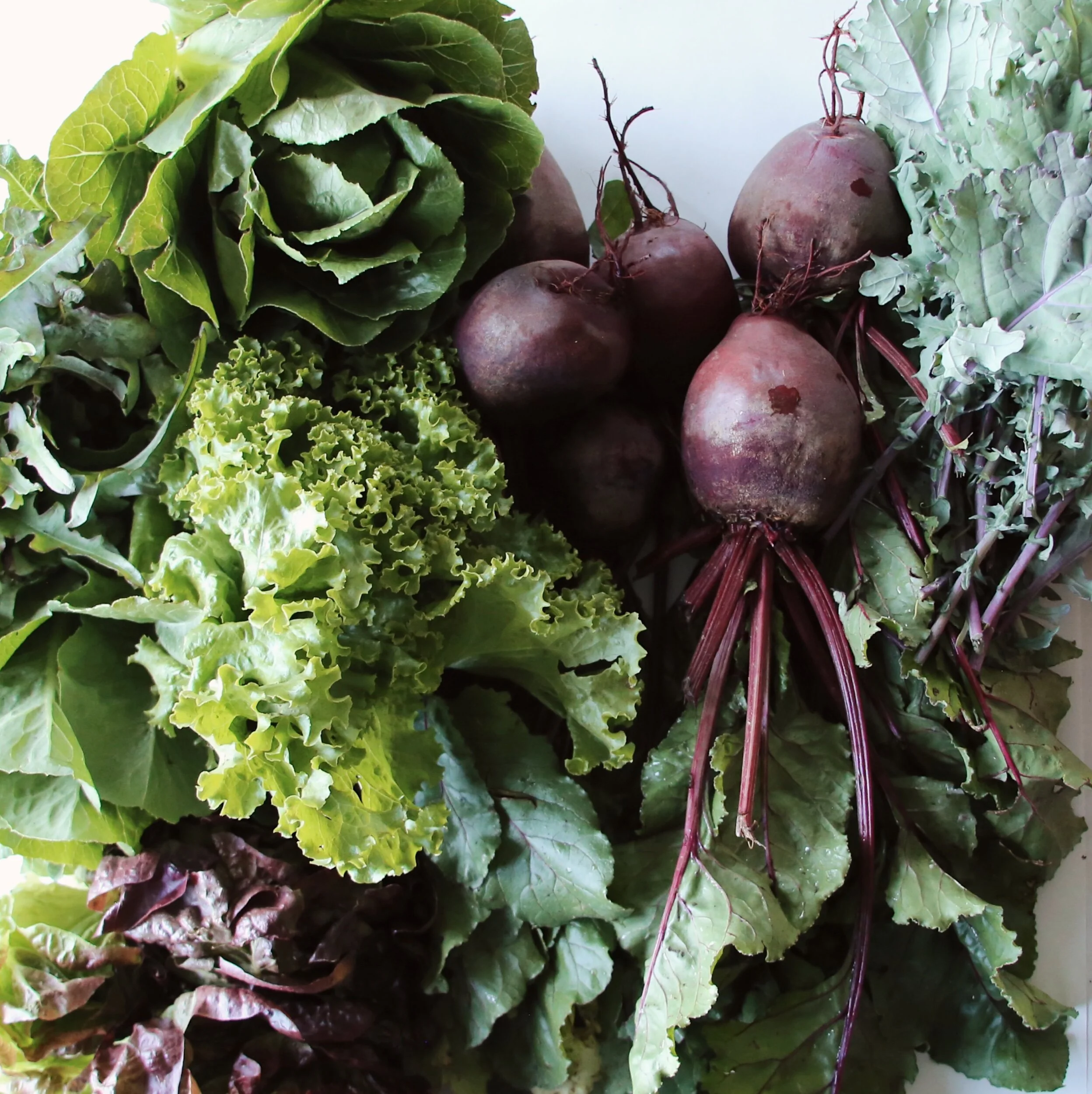 Daily Farm - Flowers and Produce