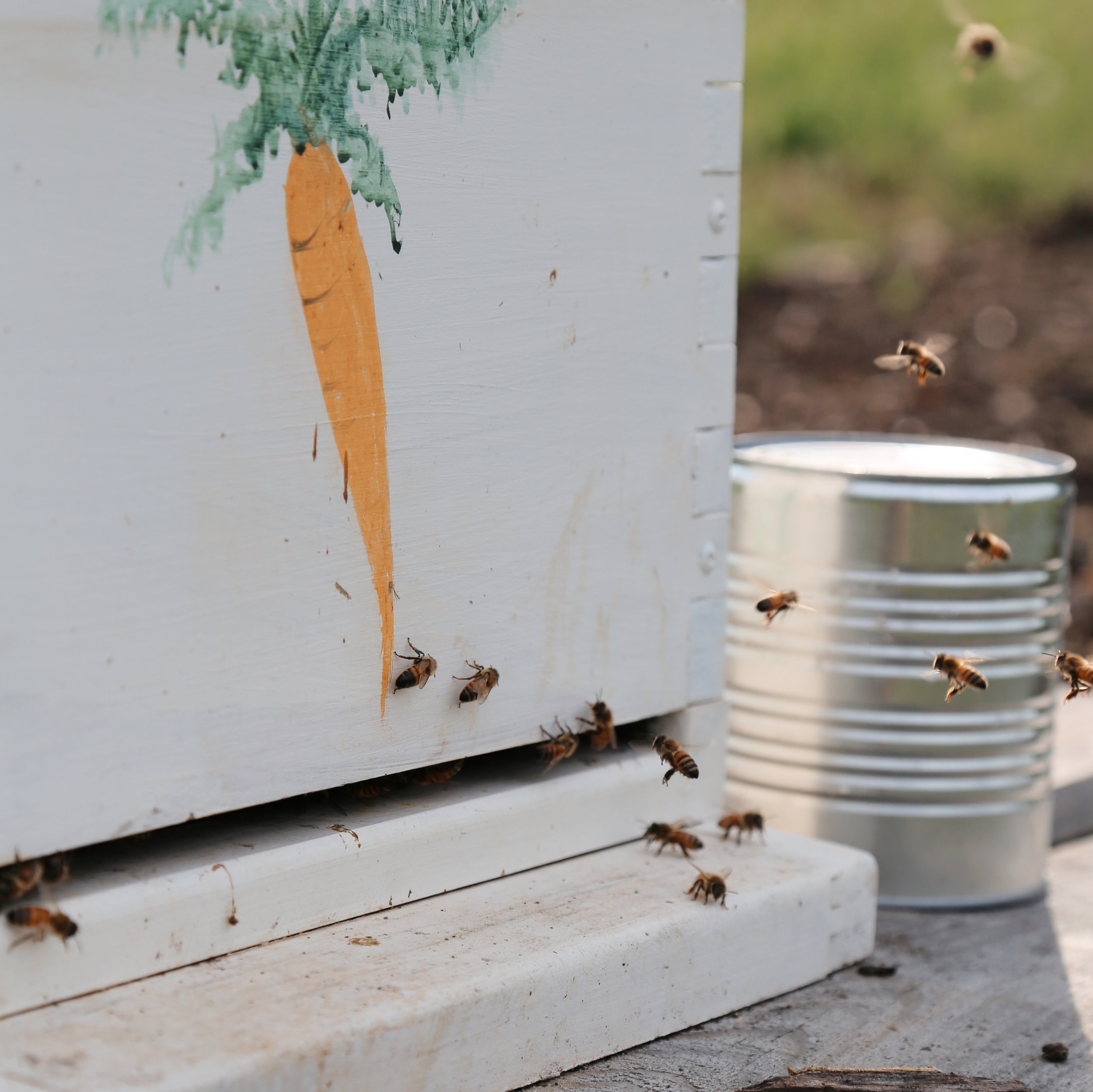 Daily Farm - Flowers and Produce