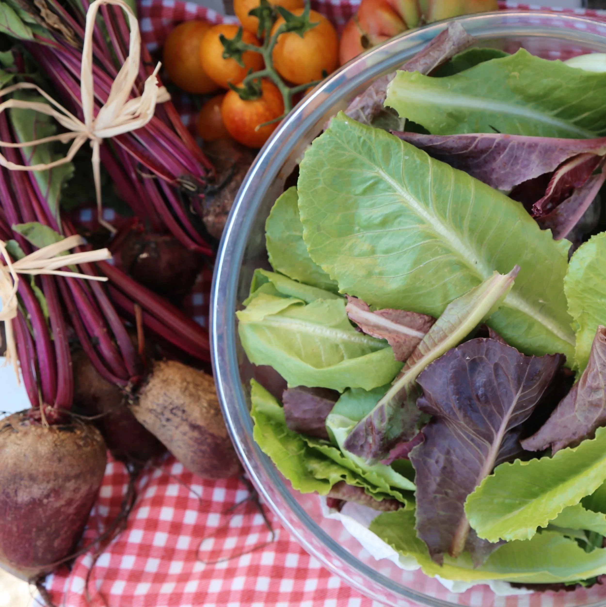 Daily Farm - Flowers and Produce
