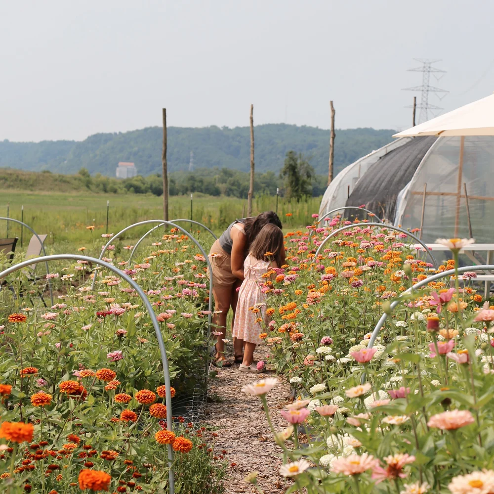 Daily Farm - Flowers and Produce