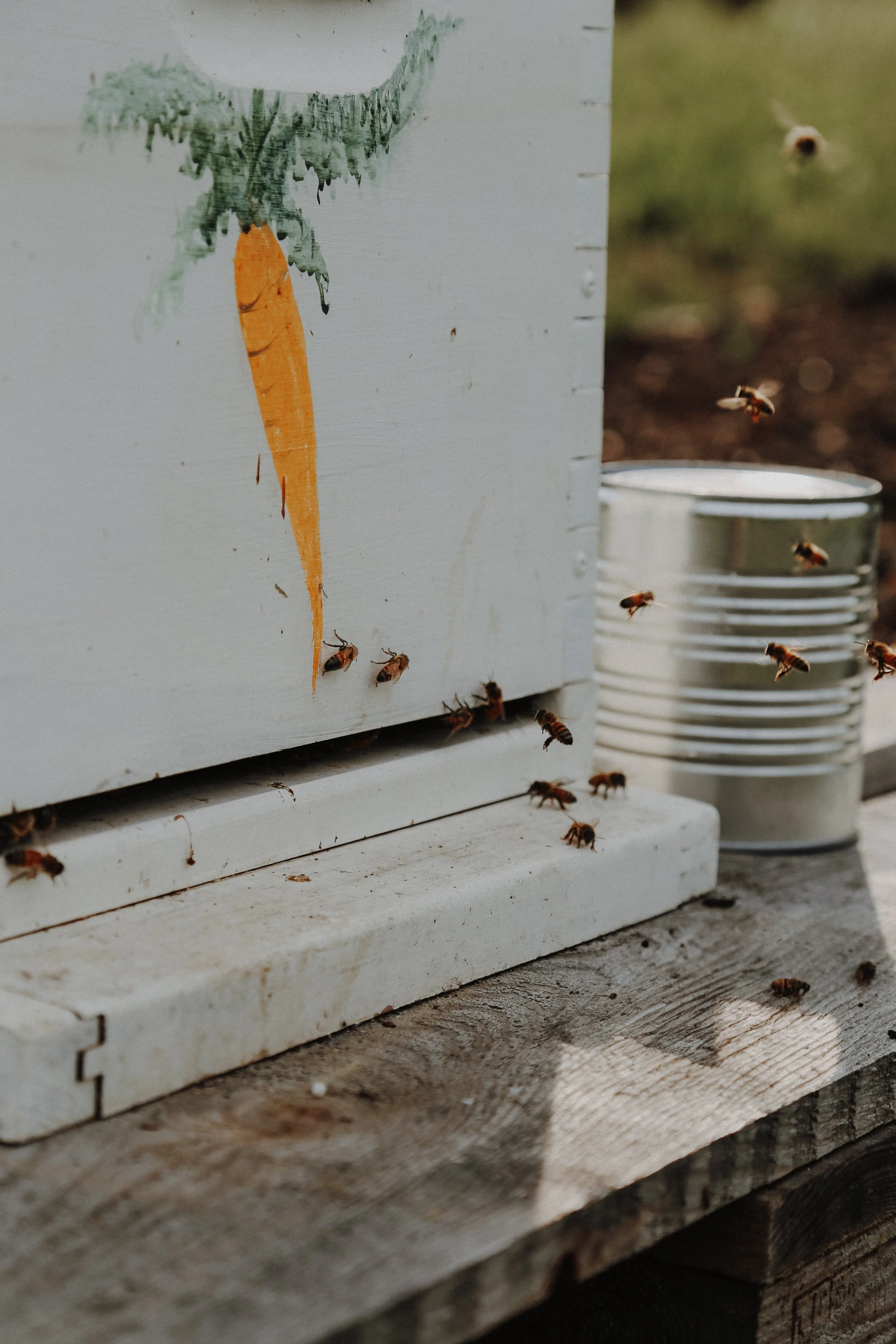 Daily Farm - Flowers and Produce
