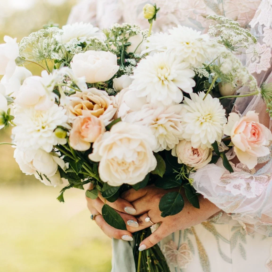 Wedding Infomation — Daily Farm