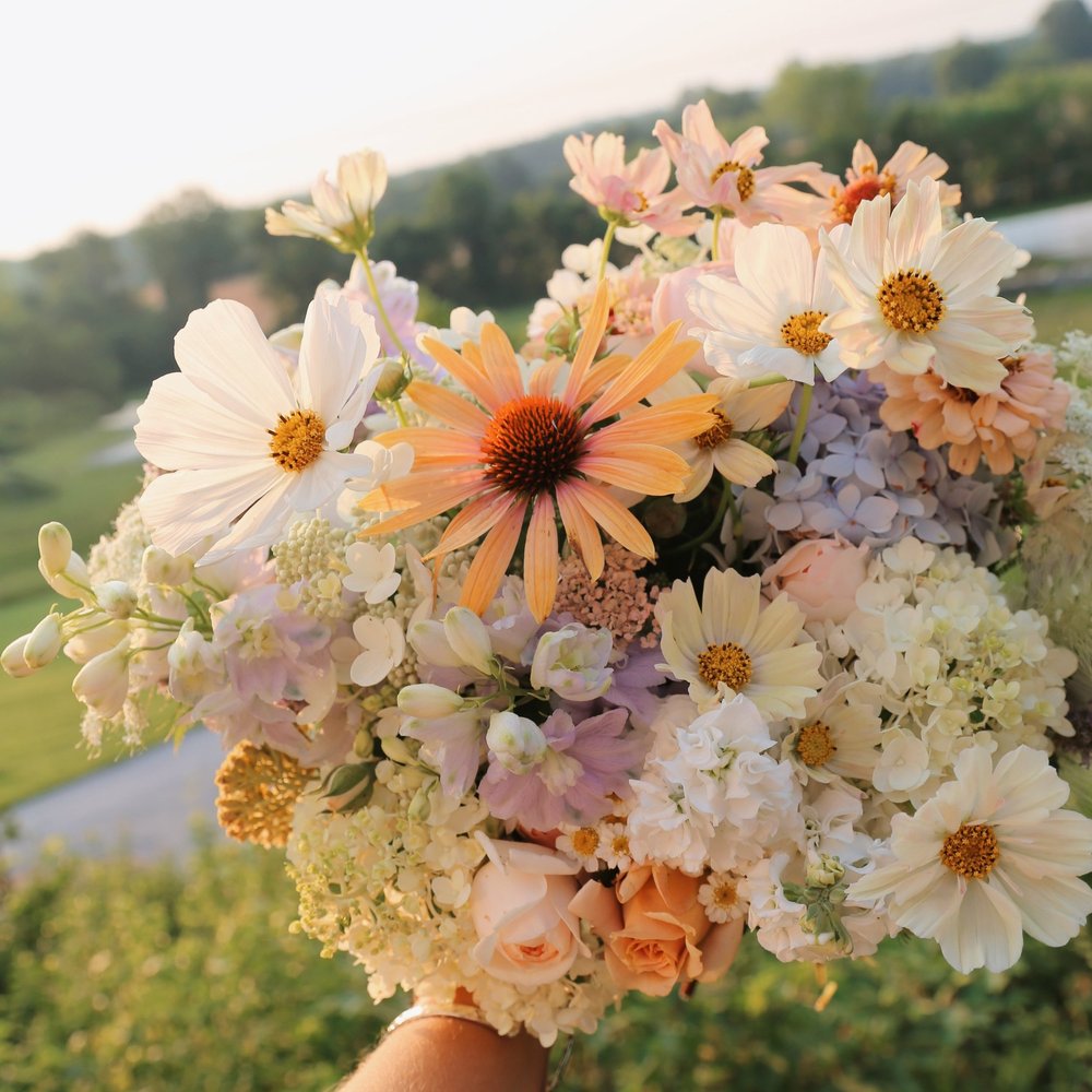 Wedding Infomation — Daily Farm