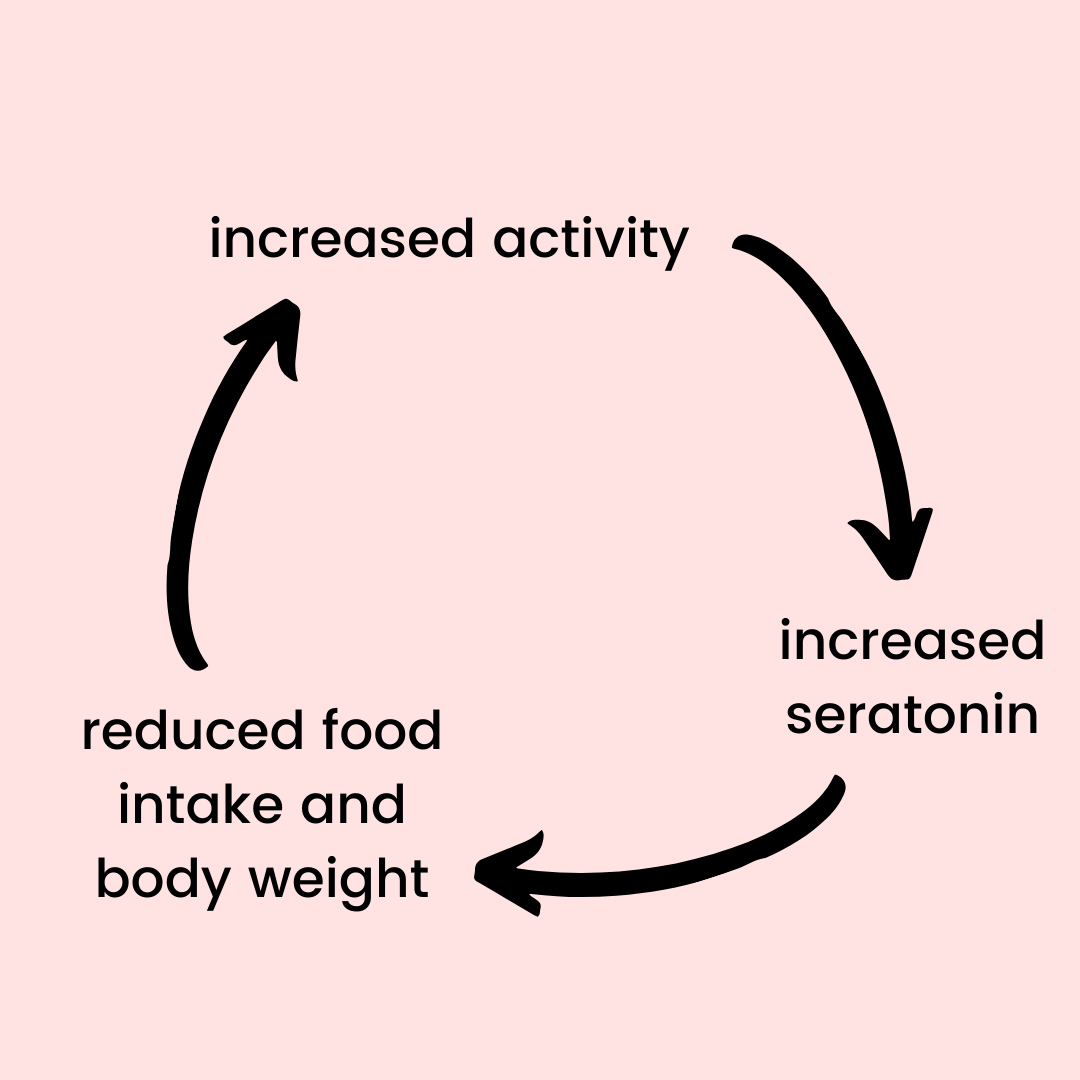 Anorexia & Hyperactivity EXPLAINED (Adapted to Flee Famine Hypothesis ...