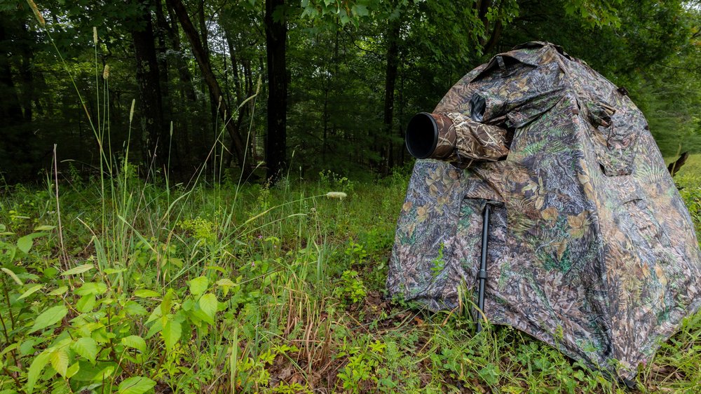 Getting Closer to Wildlife Using a Photo Blind: Part 1 — Todd DeWald ...